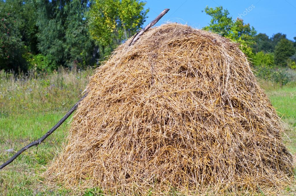 Old european traditional hay stacks, typical rural scene in autu ...