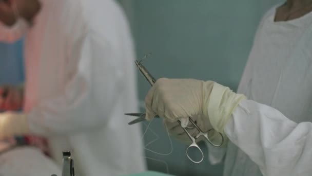 Surgeons sew up stomach woman by needle and thread. Cesarean section in ...