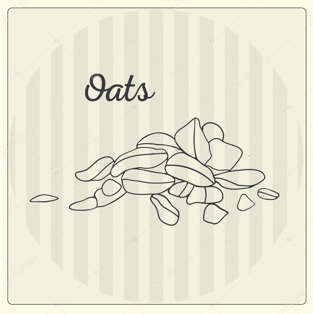 Oats. Vector line illustration. Sketch, doodle. Stock Vector Image by ...