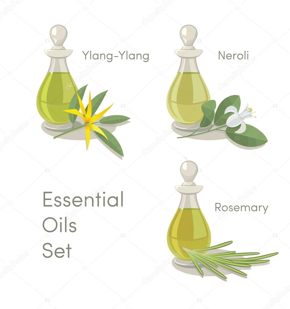 Set of essential oils bottles — Stock Vector © Darya_Geraskevich #79212548