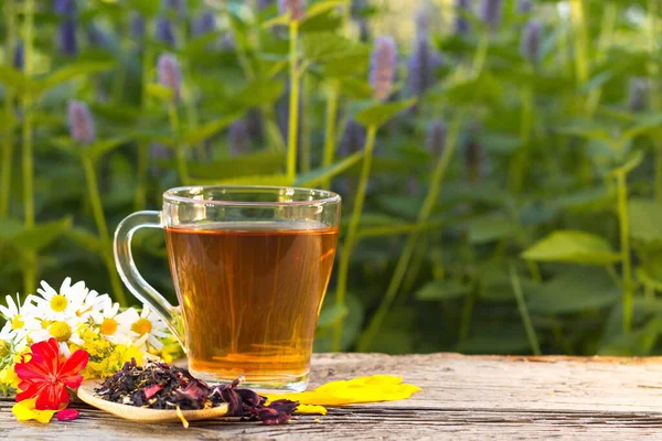 Tea in nature Images - Search Images on Everypixel