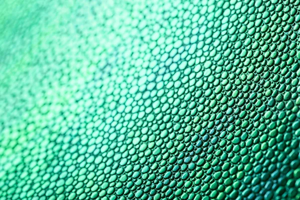 302 Emerald green scales Stock Photos | Free & Royalty-free Emerald ...