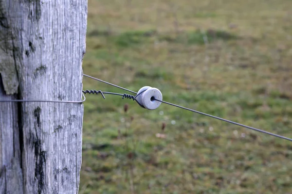 Close up of a electrical wire fence around a pasture — Stock Photo ...