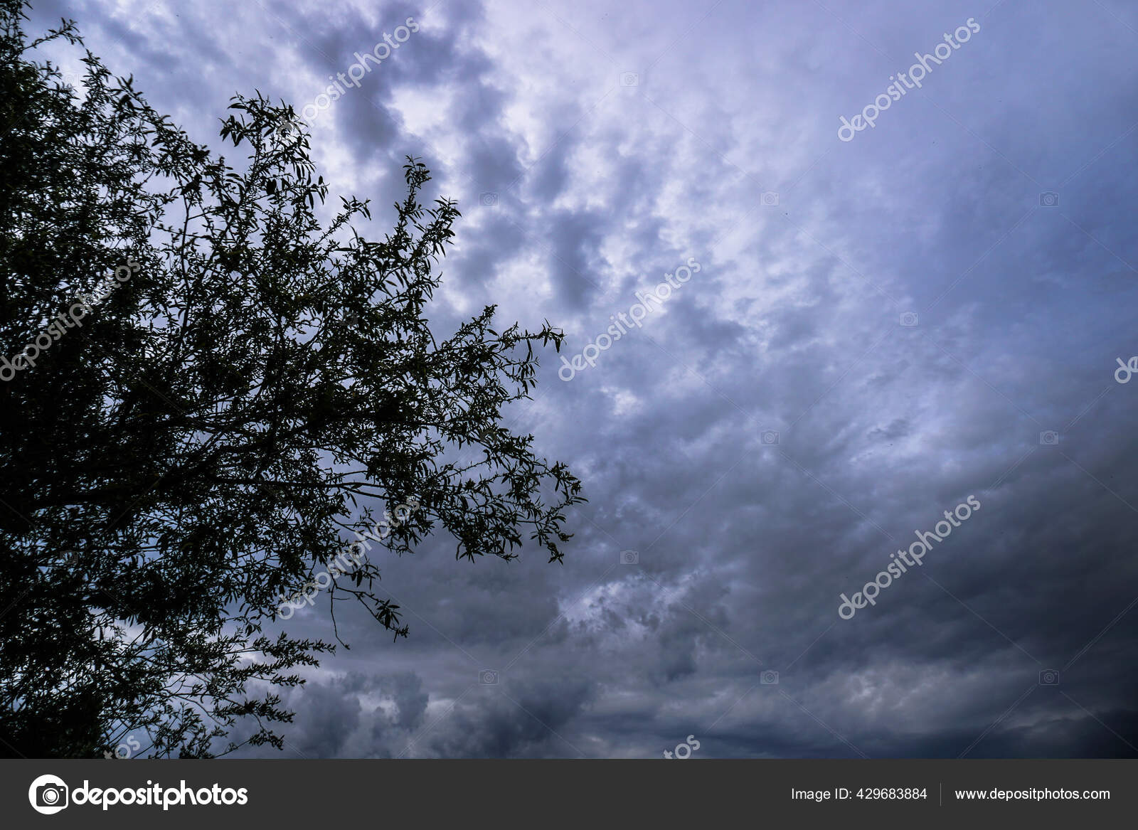 Scary Thunderclouds Black Trees Night Storm Dark Cloud Dark Heaven ...