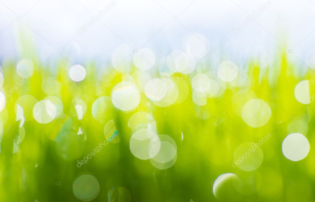 Bokeh green grass background Stock Photo by ©FotoLesnik 100112620