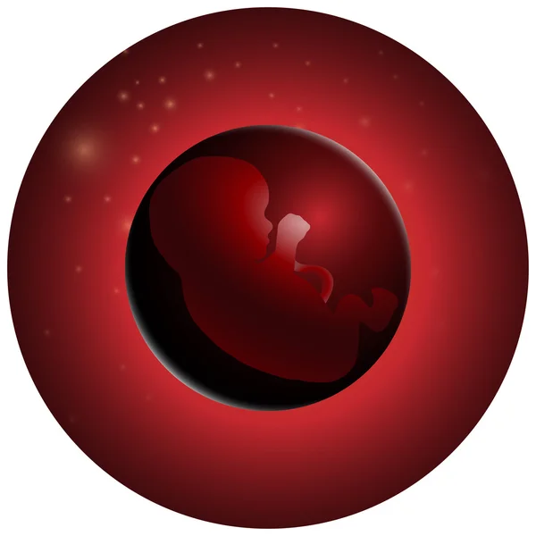 Vector illustration of embryo, germ design, baby, fetus concept ...