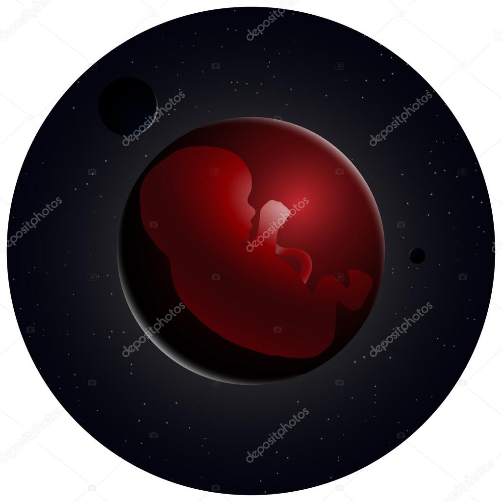 Vector illustration of embryo, germ design, baby, fetus concept ...