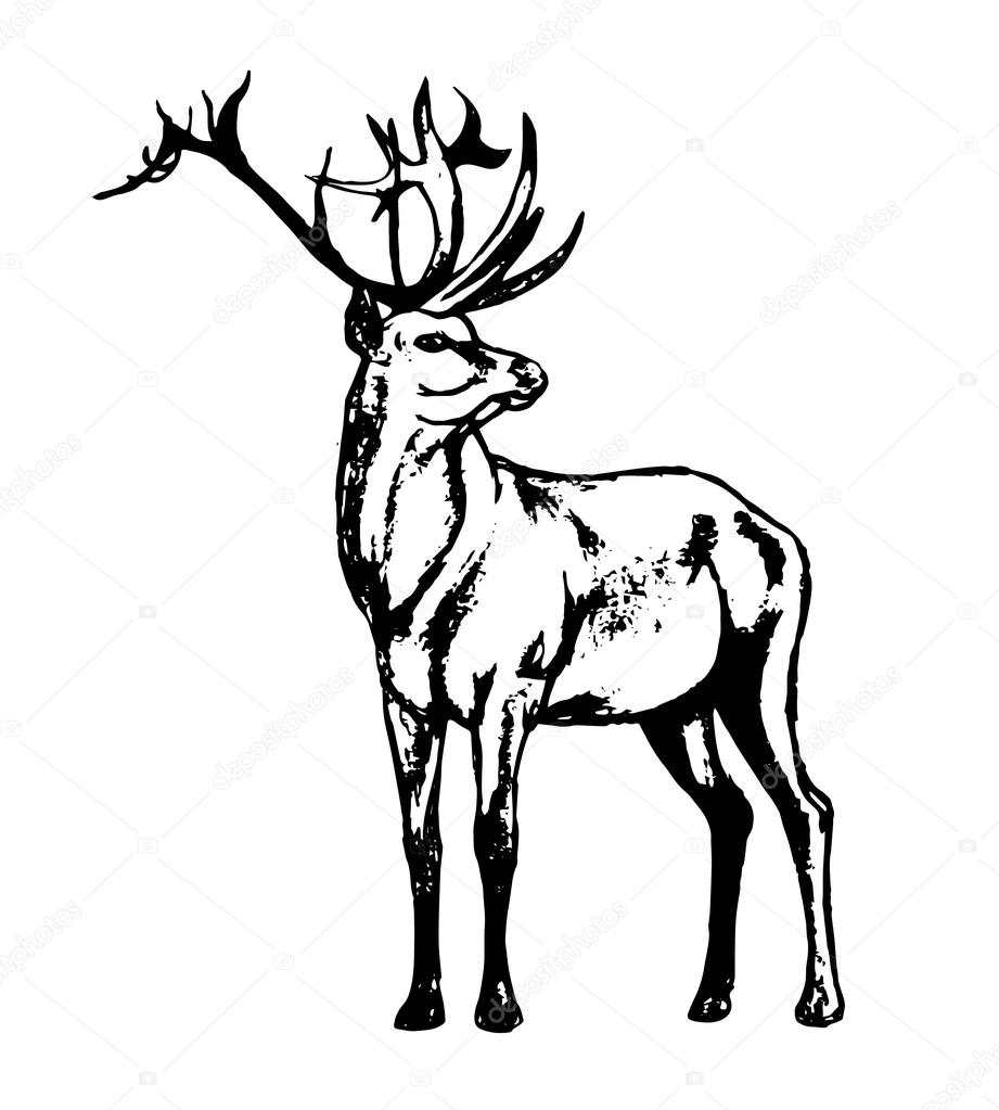 Red deer - a resident of the forest Stock Vector Image by ©Mila_Endo ...