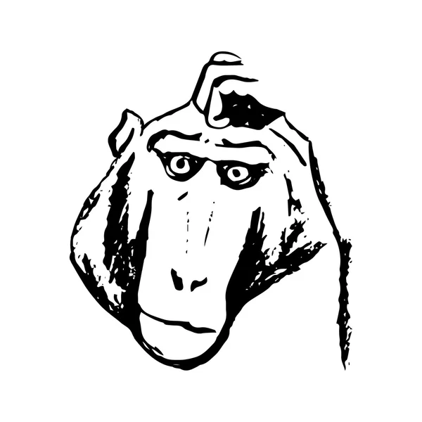 La tête d'un lion — Image vectorielle Mila_Endo © #114901240