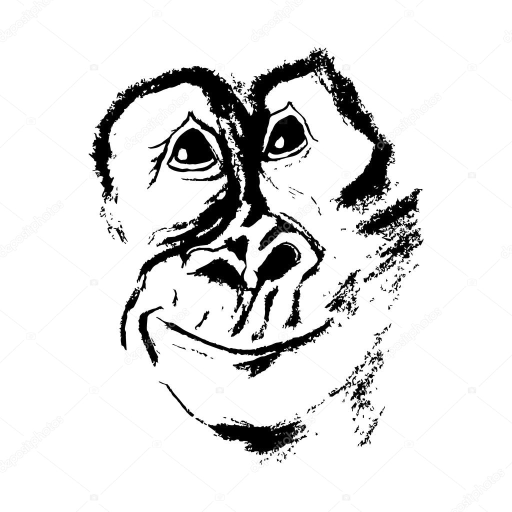 Majom fej - freehand rajz, grafika — Stock Vector #91858000