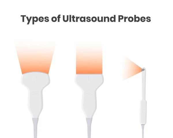Ultrasound probe Vector Art Stock Images | Depositphotos