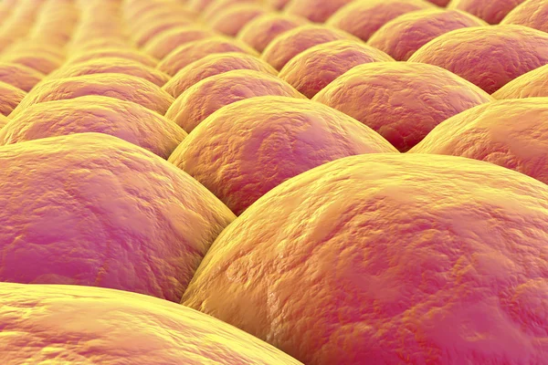 Human cells background Stock Photos, Royalty Free Human cells ...
