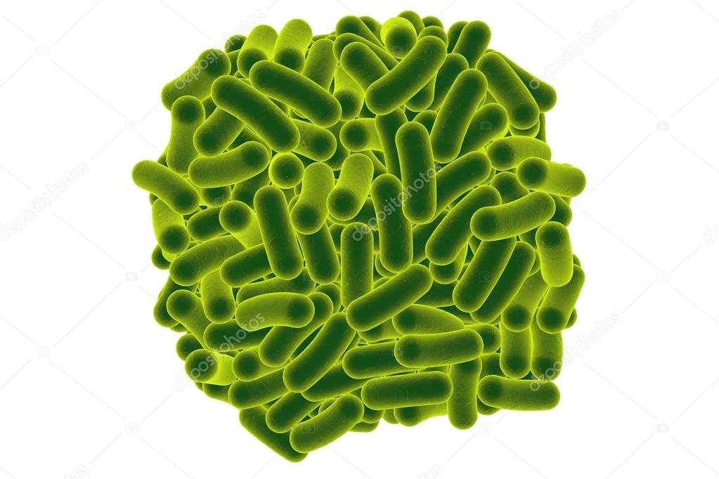 Rod shaped bacteria Stock Photo by ©katerynakon 123070530