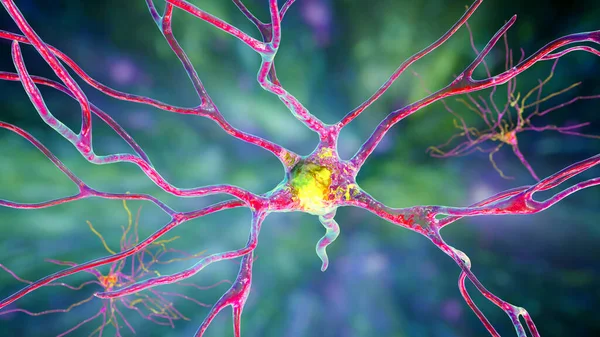 Neuronas, ilustración 3D que muestra las células cerebrales ubicadas en ...