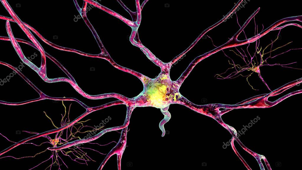 Neuronas, ilustración 3D que muestra las células cerebrales ubicadas en ...