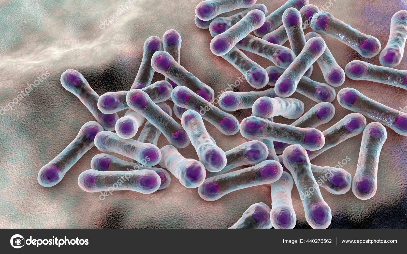 Bacteria Corynebacterium Diphtheriae Gram Positive Rod Shaped Bacterium ...