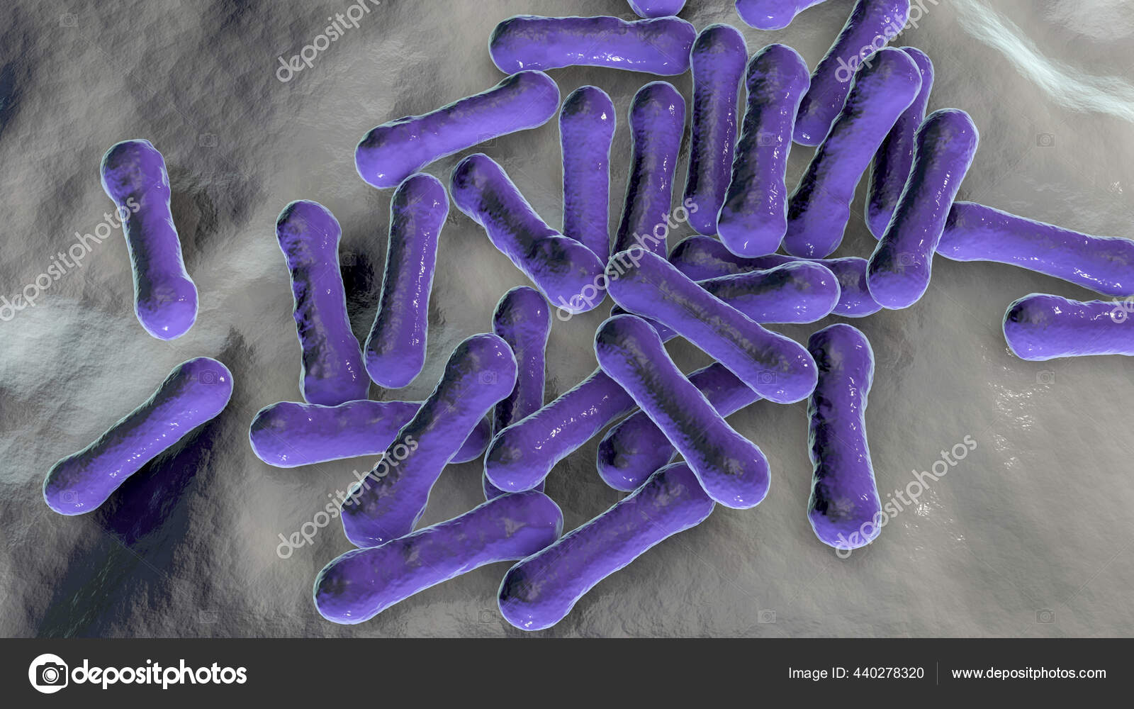 Bacterias Corynebacterium Diphtheriae Bacteria Gram Positiva Forma ...