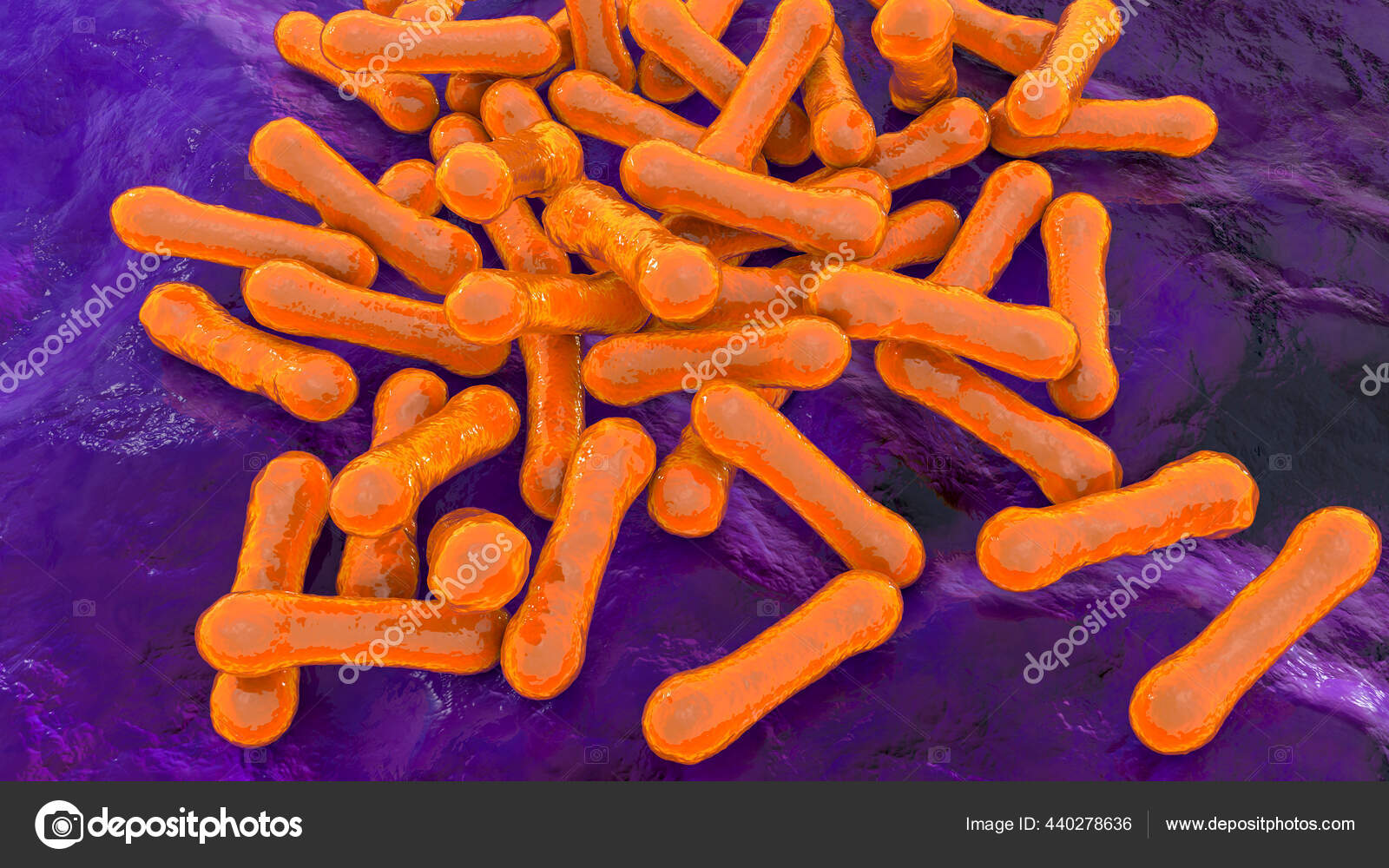 Bacteria Corynebacterium Diphtheriae Gram Positive Rod Shaped Bacterium ...