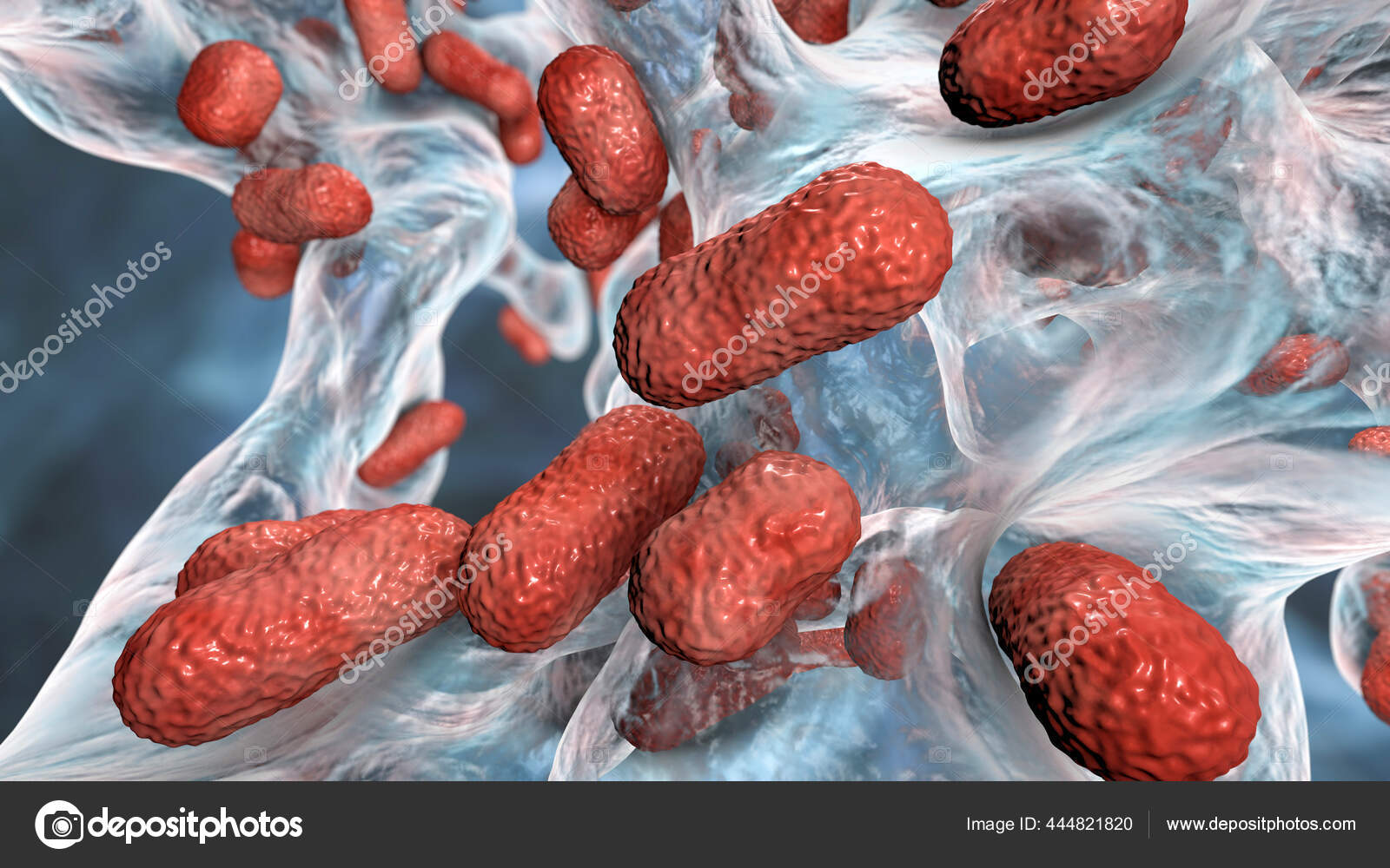 Bacterias Multirresistentes Biofilm Bacterias Acinetobacter Baumannii ...