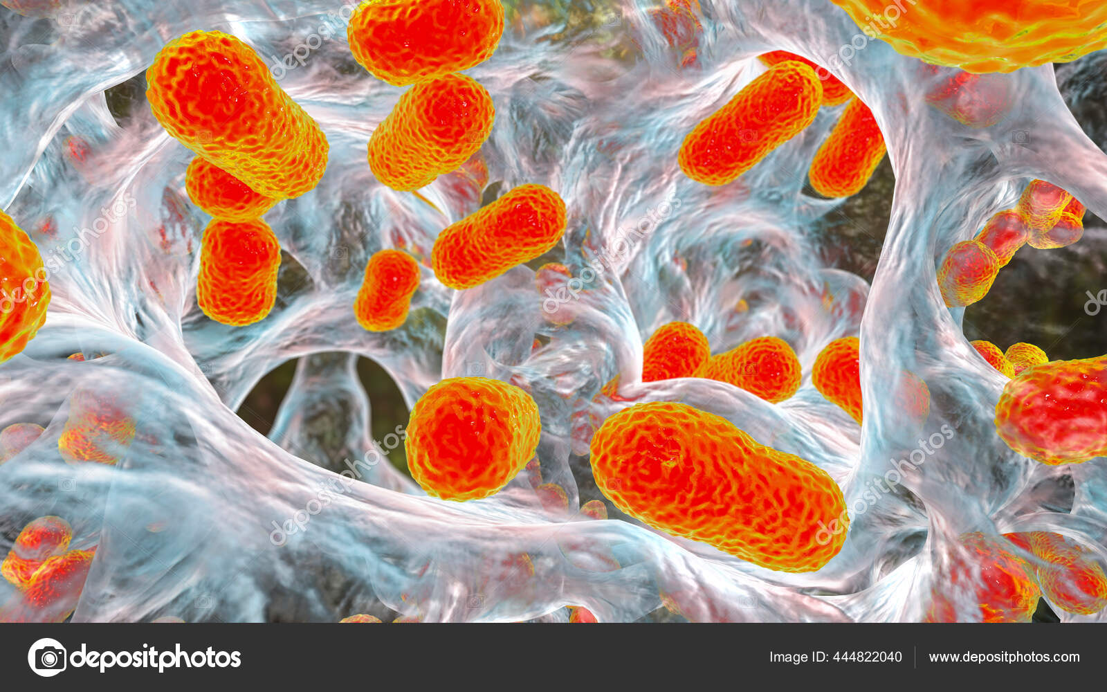 Bacterias Multirresistentes Biofilm Bacterias Acinetobacter Baumannii ... Bacterias Multirresistentes Biofilm Bacterias Acinetobacter Baumannii ...