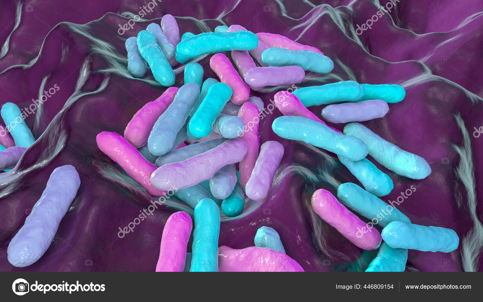 Cutibacterium Acnes Formely Propionibacterium Acnes Illustration ...