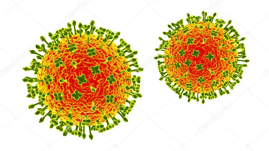 Virus Nipah, un nuevo virus transmitido por murciélagos que causa ...