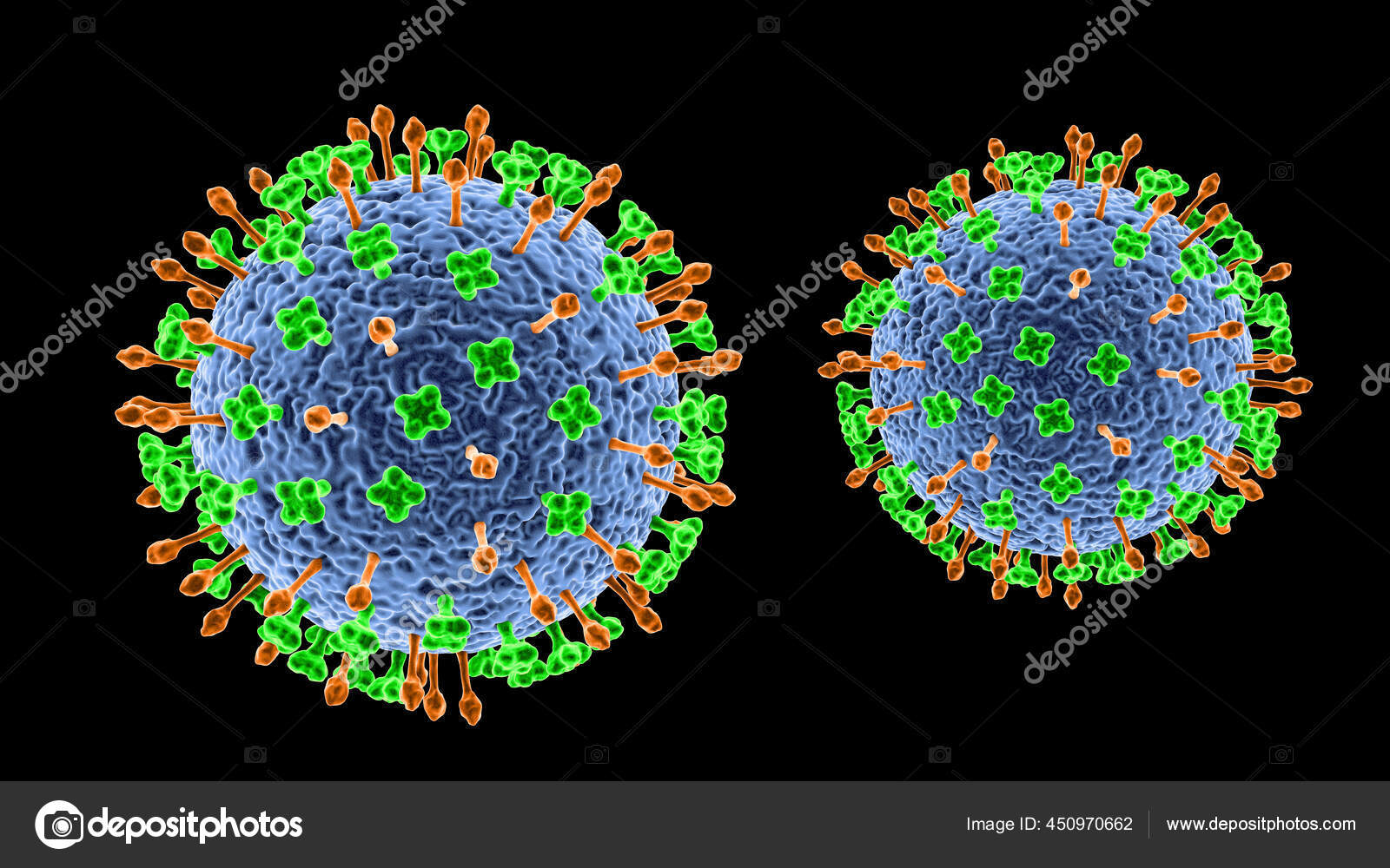 Nipah Virus Newly Emerging Bat Borne Virus Causes Acute Respiratory ...