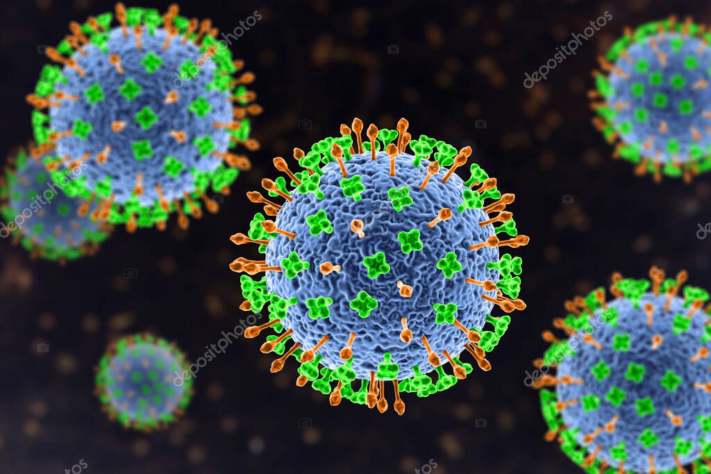 Virus Nipah, un nuevo virus transmitido por murciélagos que causa ...