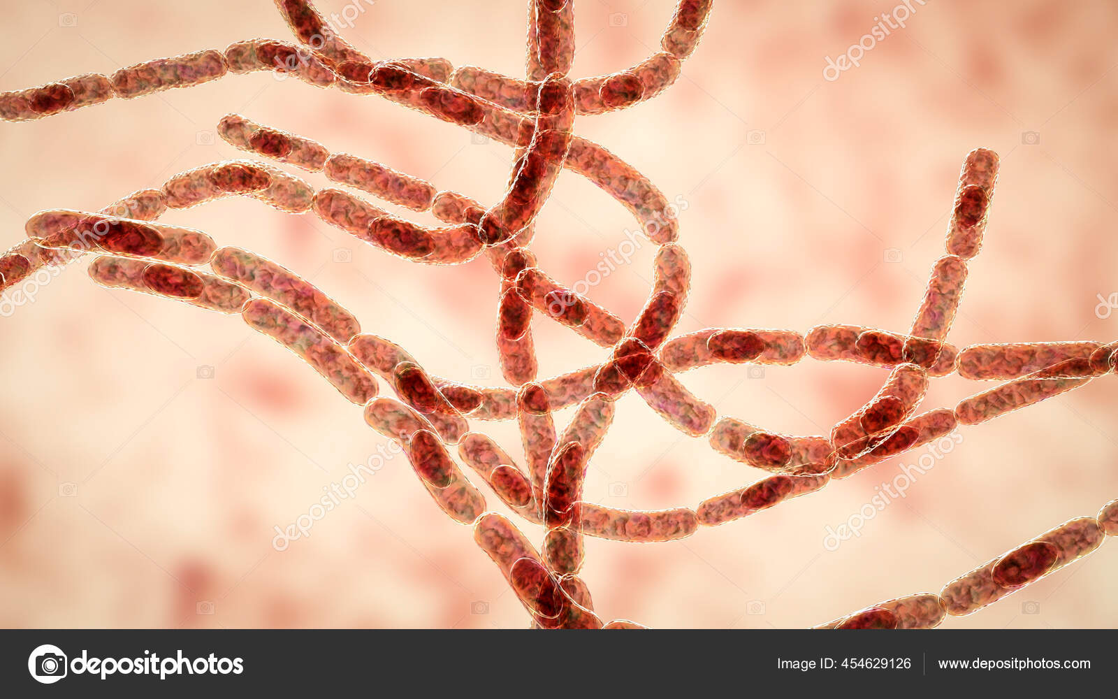 Anthrax Disease Cell