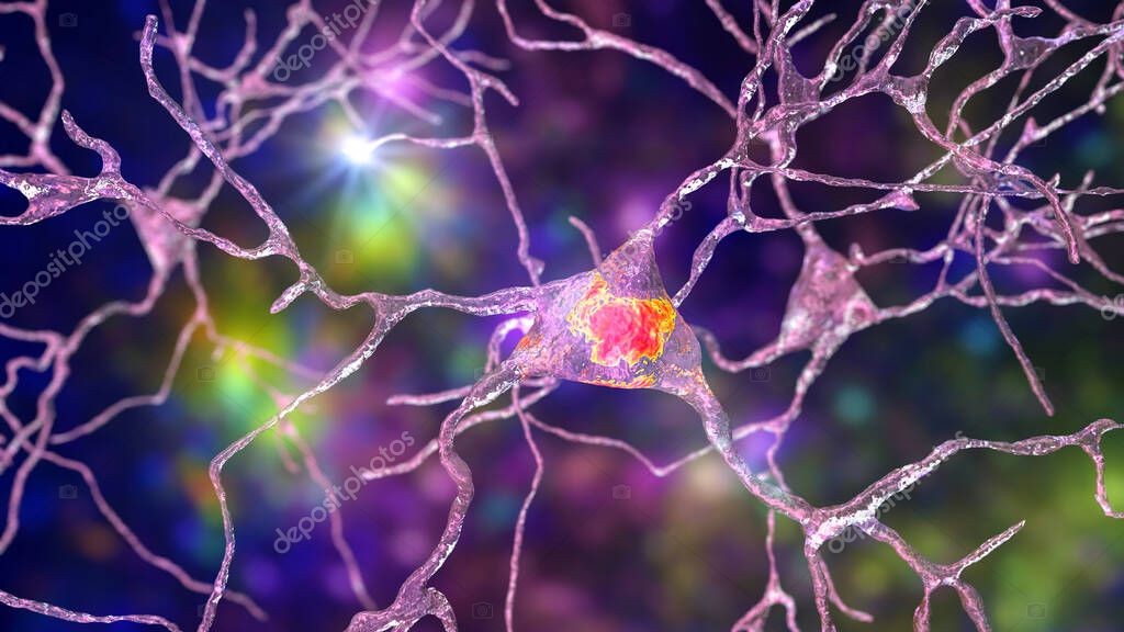 Neuronas, células cerebrales localizadas en Amygdala, ilustración 3D ...