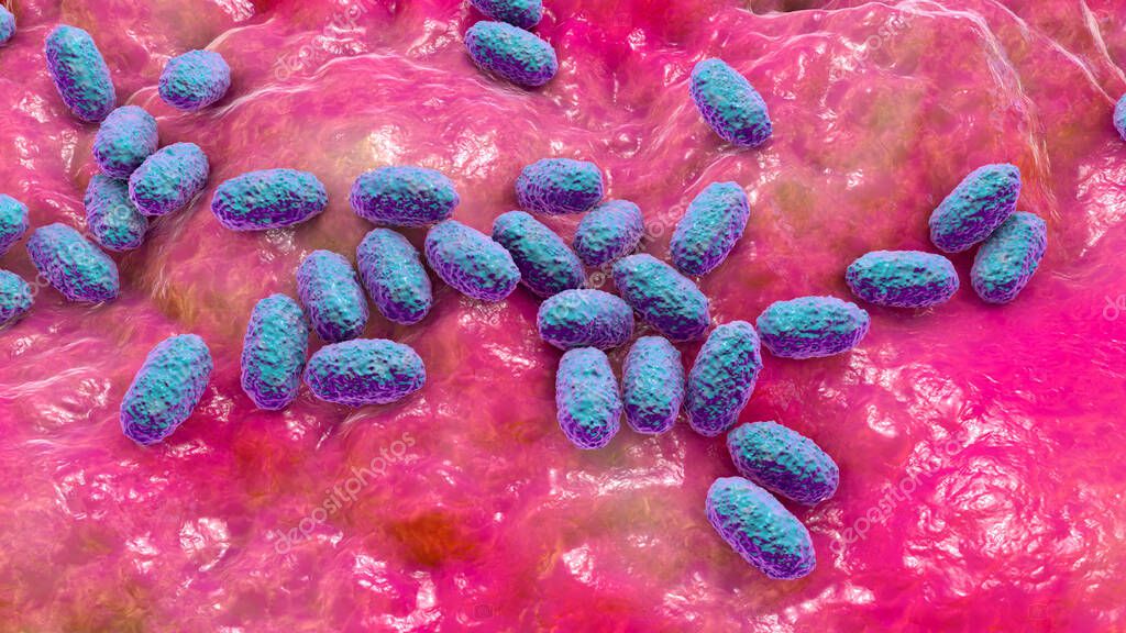 Bacterias de la tos ferina Bordetella pertussis, ilustración 3D ...