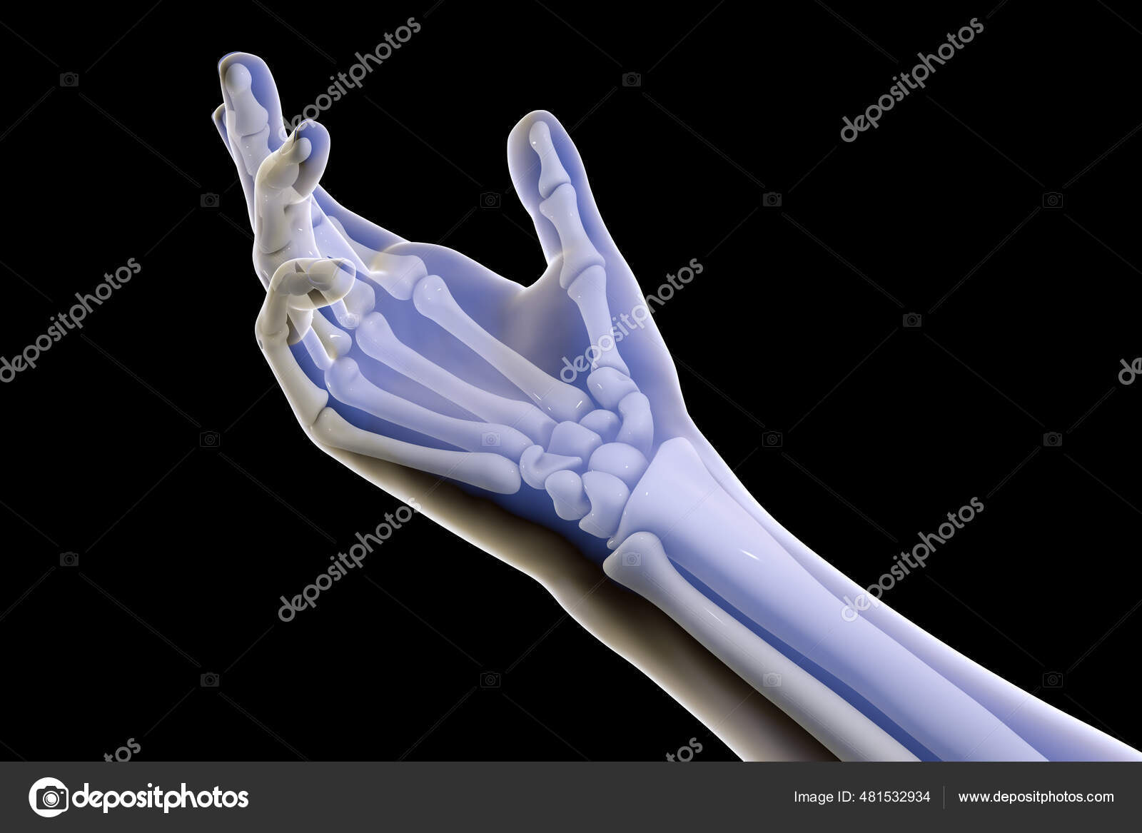 Human Hand Arm Skeleton Bones Illustration Stock Photo by ©katerynakon ...