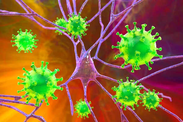 Mumps Virus 3d Model