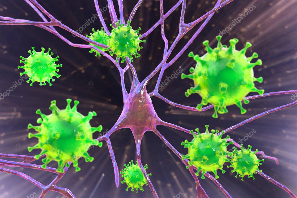 Virus infectando neuronas, concepto de infecci n cerebral, ilustraci n 3D. Encefalitis viral ...