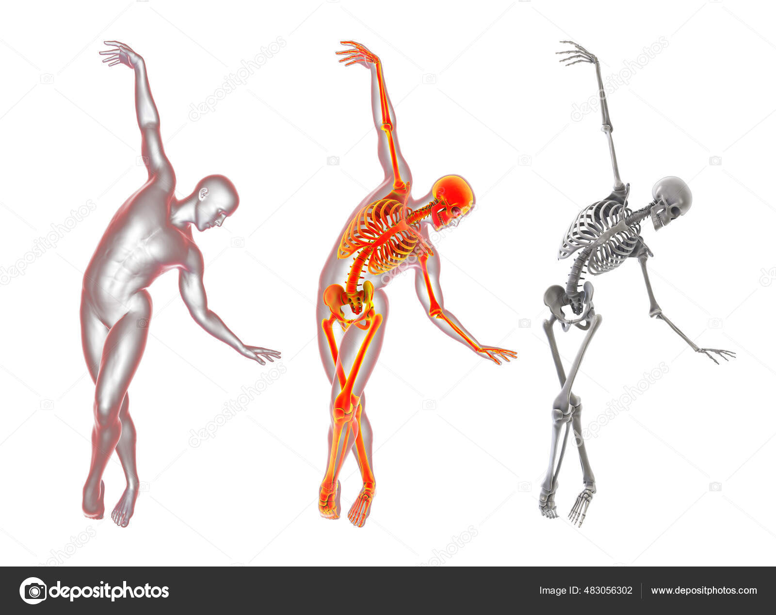 Anatomy Dancing Ballet Illustration Man Ballet Pose Highlighted ...