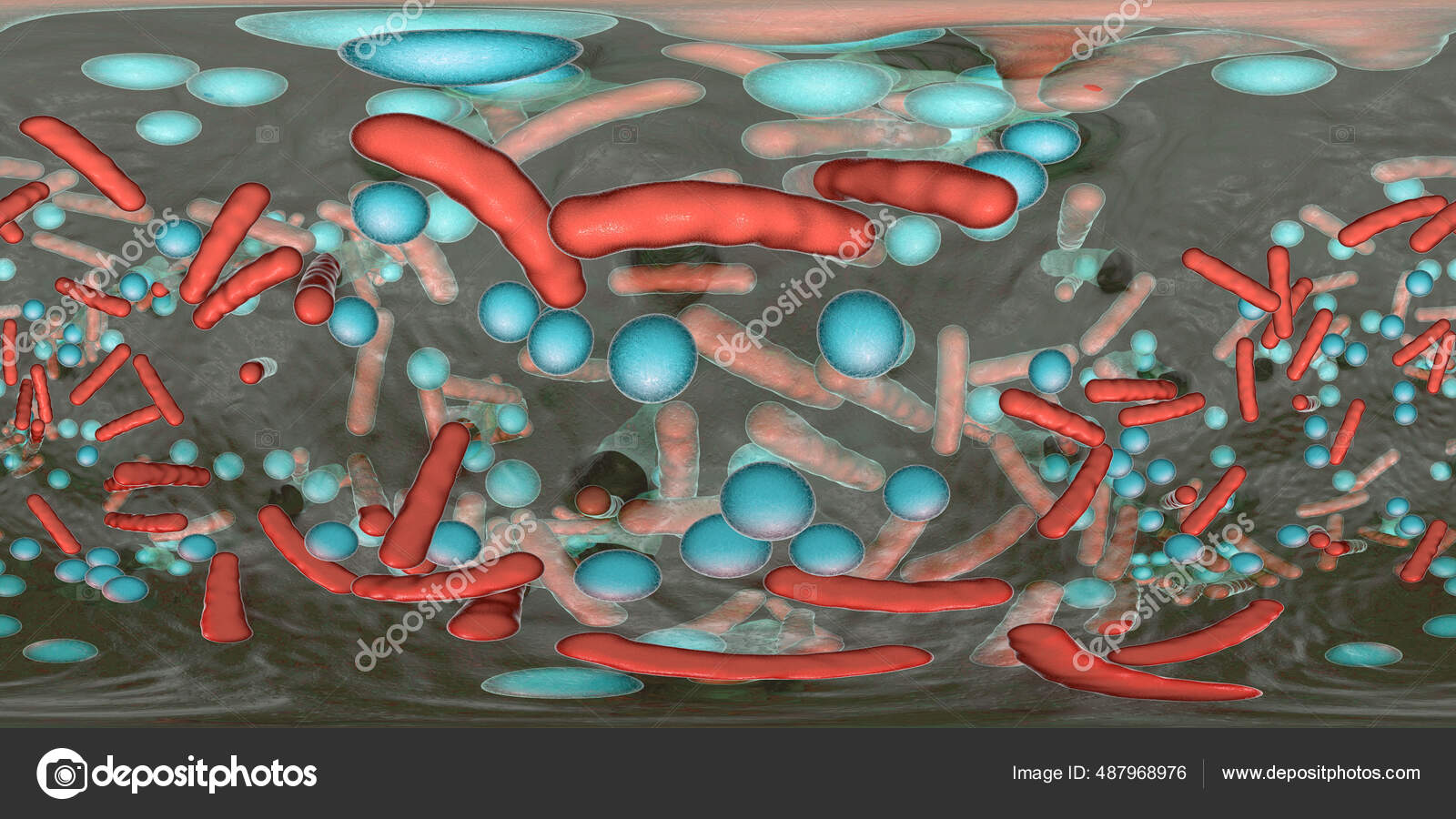 360 Degree Spherical Panorama Bacterial Biofilm Mixture Bacteria ...