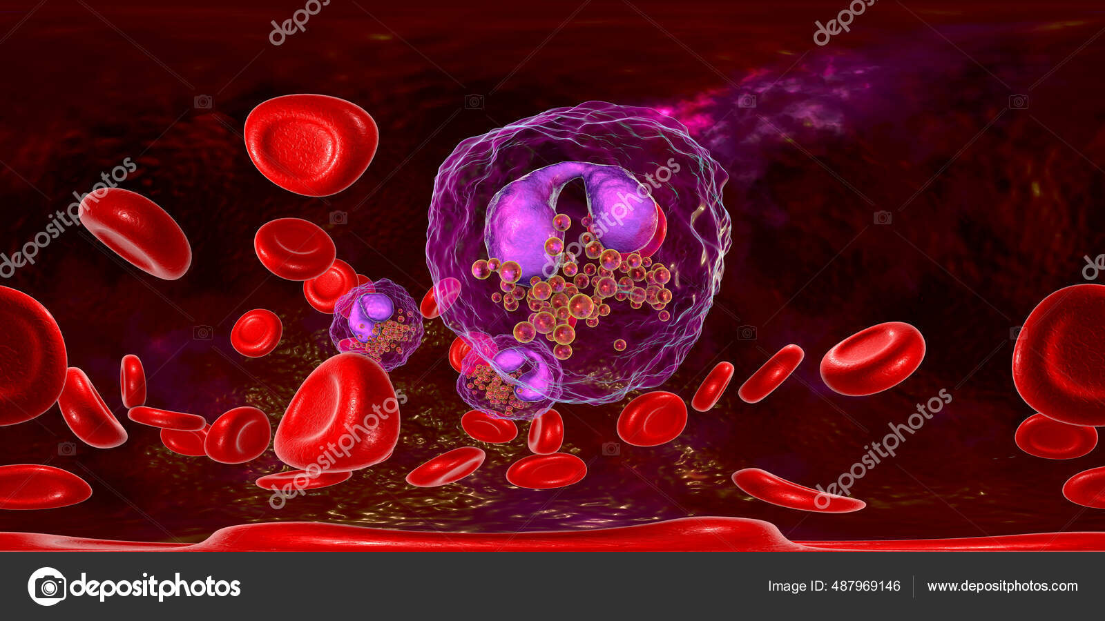 360 spherical video viewer - atlasalernas