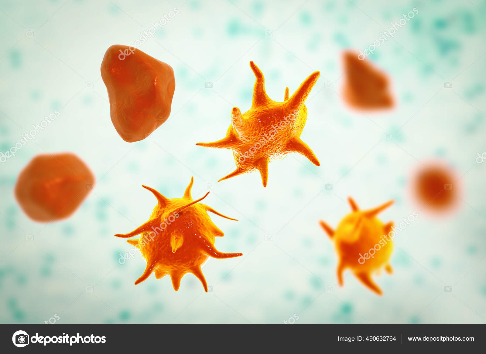 Activated Non Activated Platelets Thrombocytes Illustration Activated ...