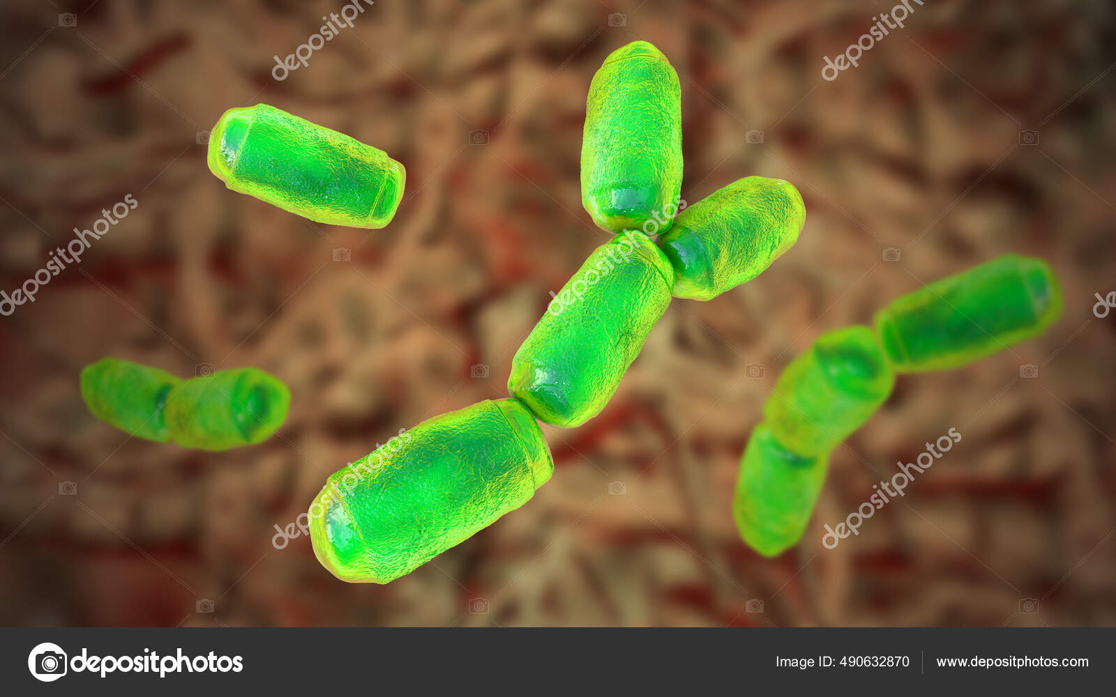 Methanogenic Bacteria