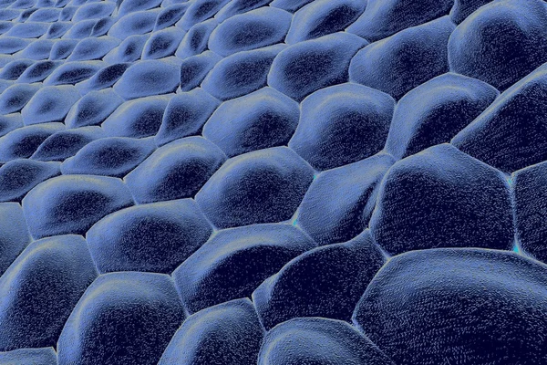 Layer of cells — Stock Photo © katerynakon #78119036