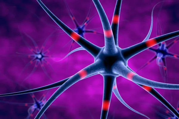 Neurons in thinking Stock Photos, Royalty Free Neurons in thinking ...