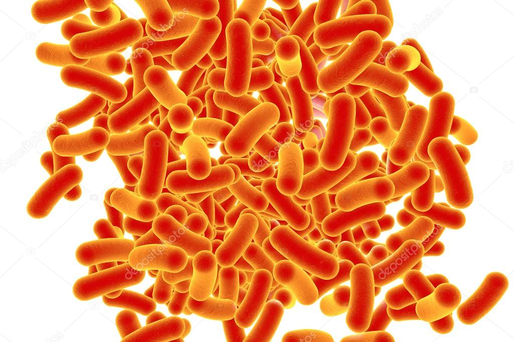 Bacteria — Stock Photo © katerynakon #78113748