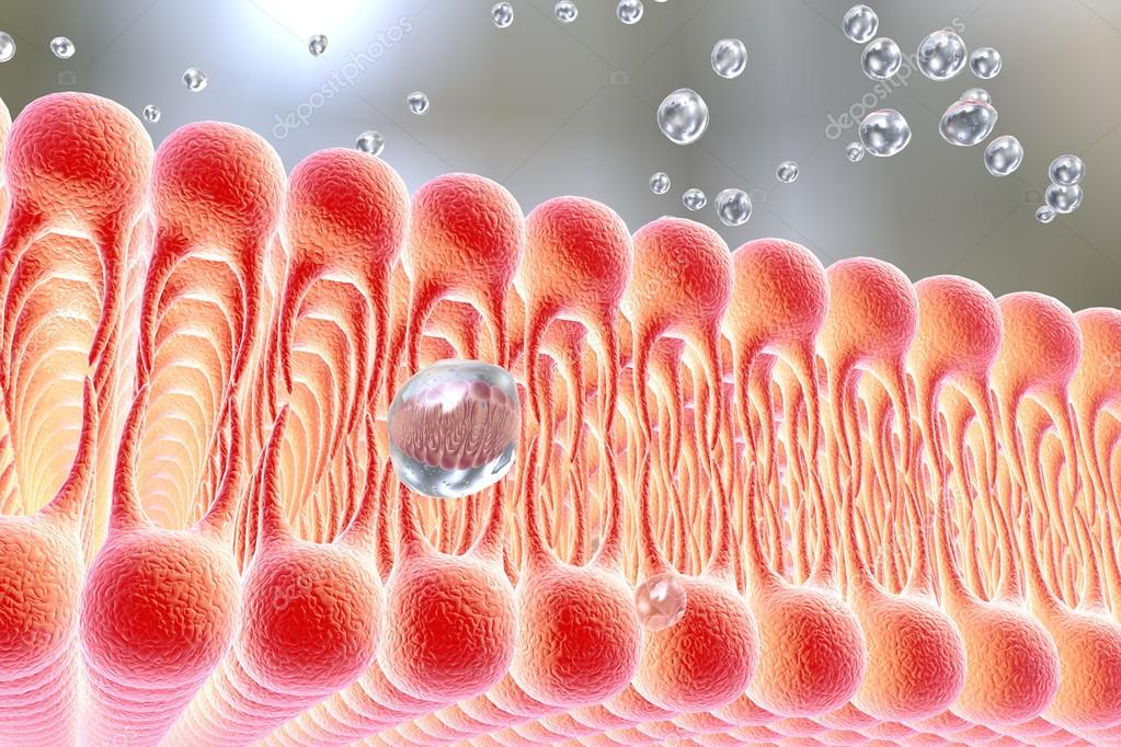 Cell membrane — Stock Photo © katerynakon #78119200
