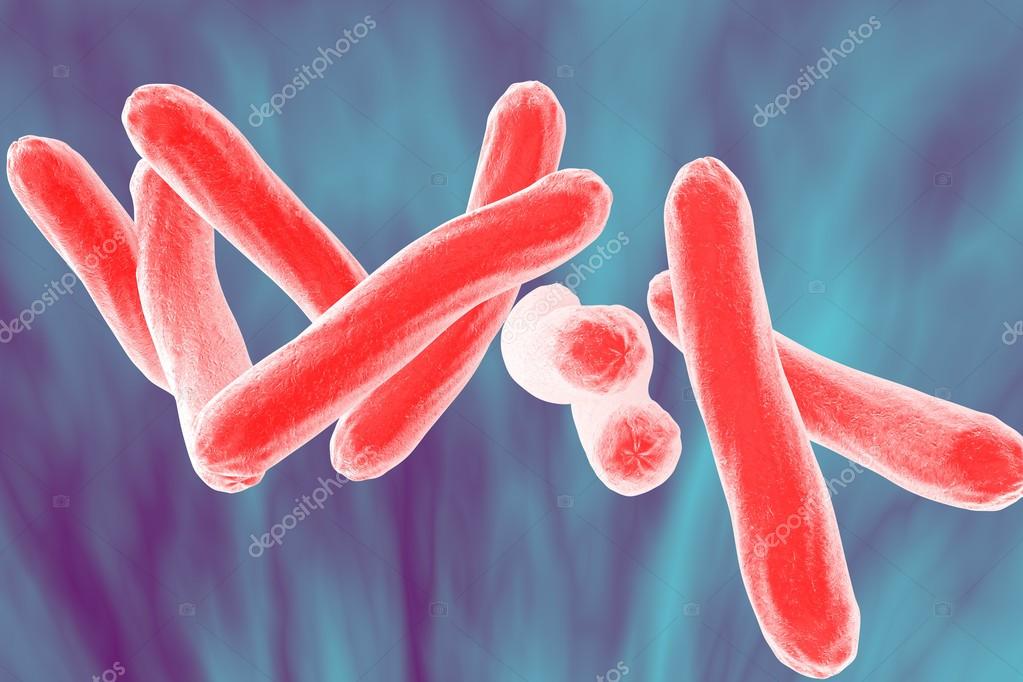 Mycobacterium tuberculosis Stock Photo by ©katerynakon 78119462