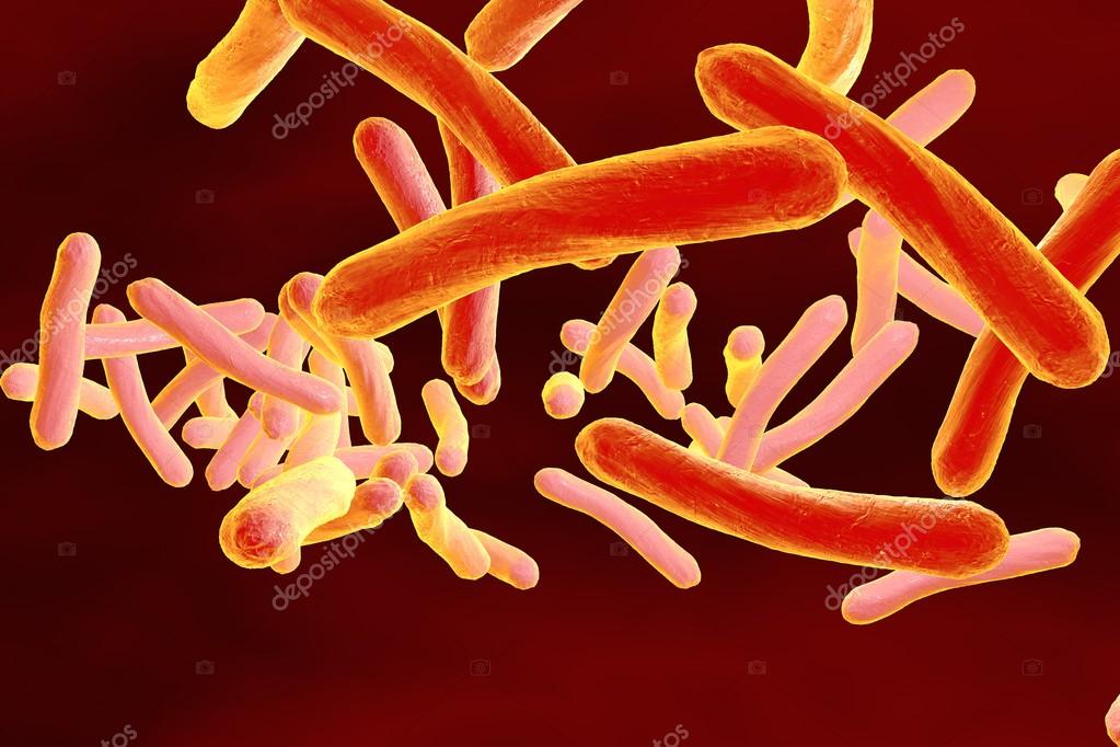 Mycobacterium tuberculosis Stock Photo by ©katerynakon 78119476