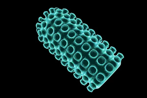 Electron microscopy Stock Photos, Royalty Free Electron microscopy ...