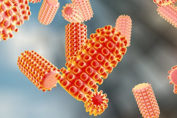 Rabies virus — Stock Photo © katerynakon #78120306