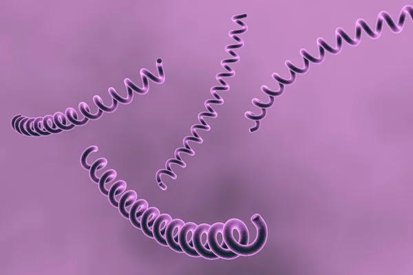 Structure bacteria Stock Photos, Royalty Free Structure bacteria Images ...