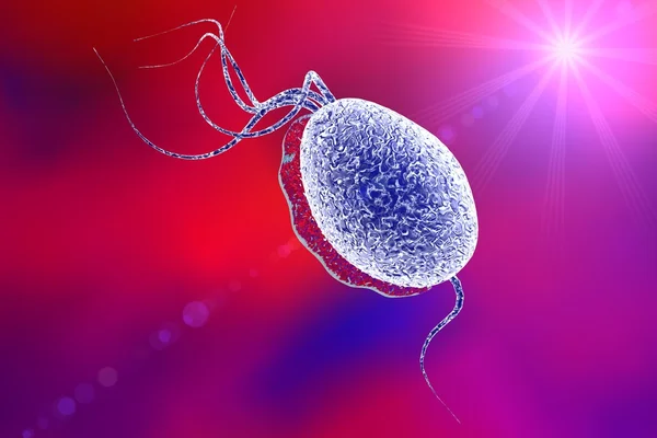 Trichomoniasis Symptoms