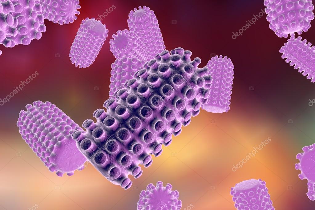 Rabies virus — Stock Photo © katerynakon #78120306